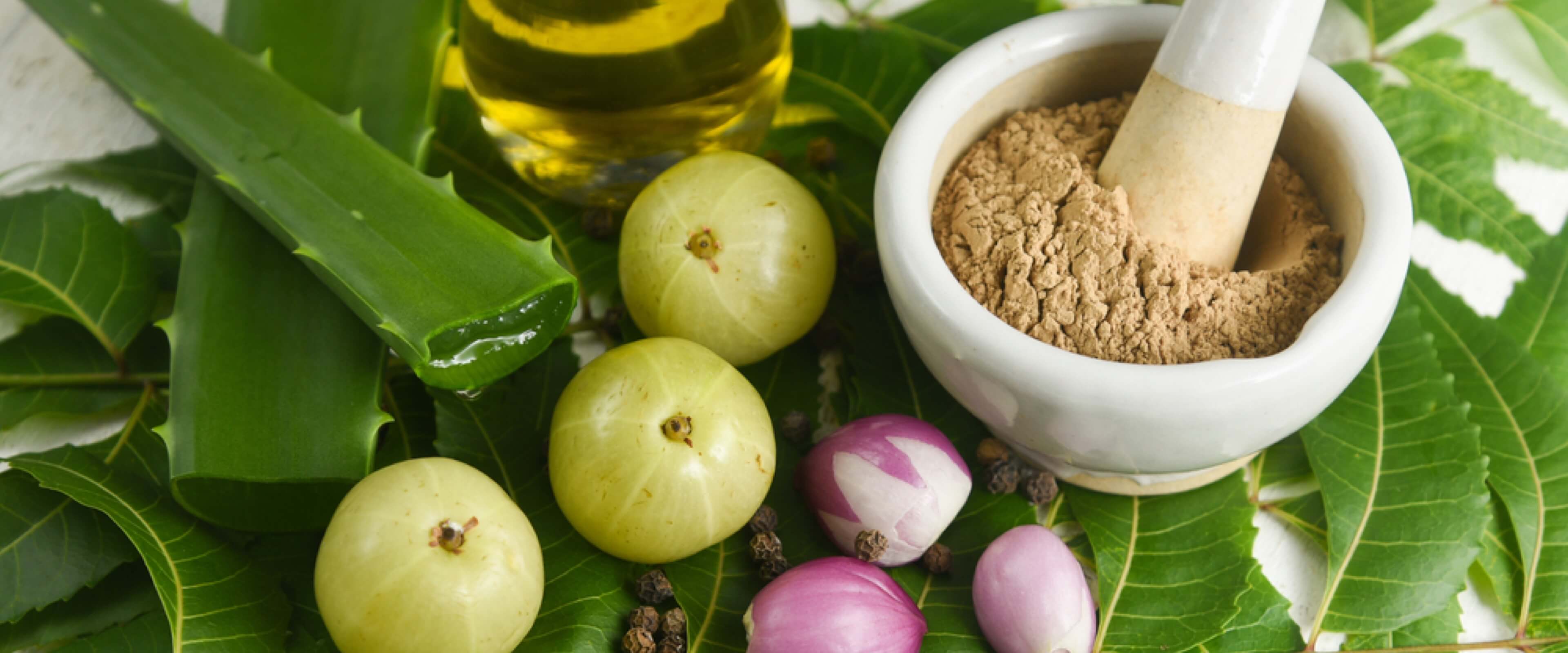 The Many Benefits of Amla Berry for Your Health and Beauty | Codeage