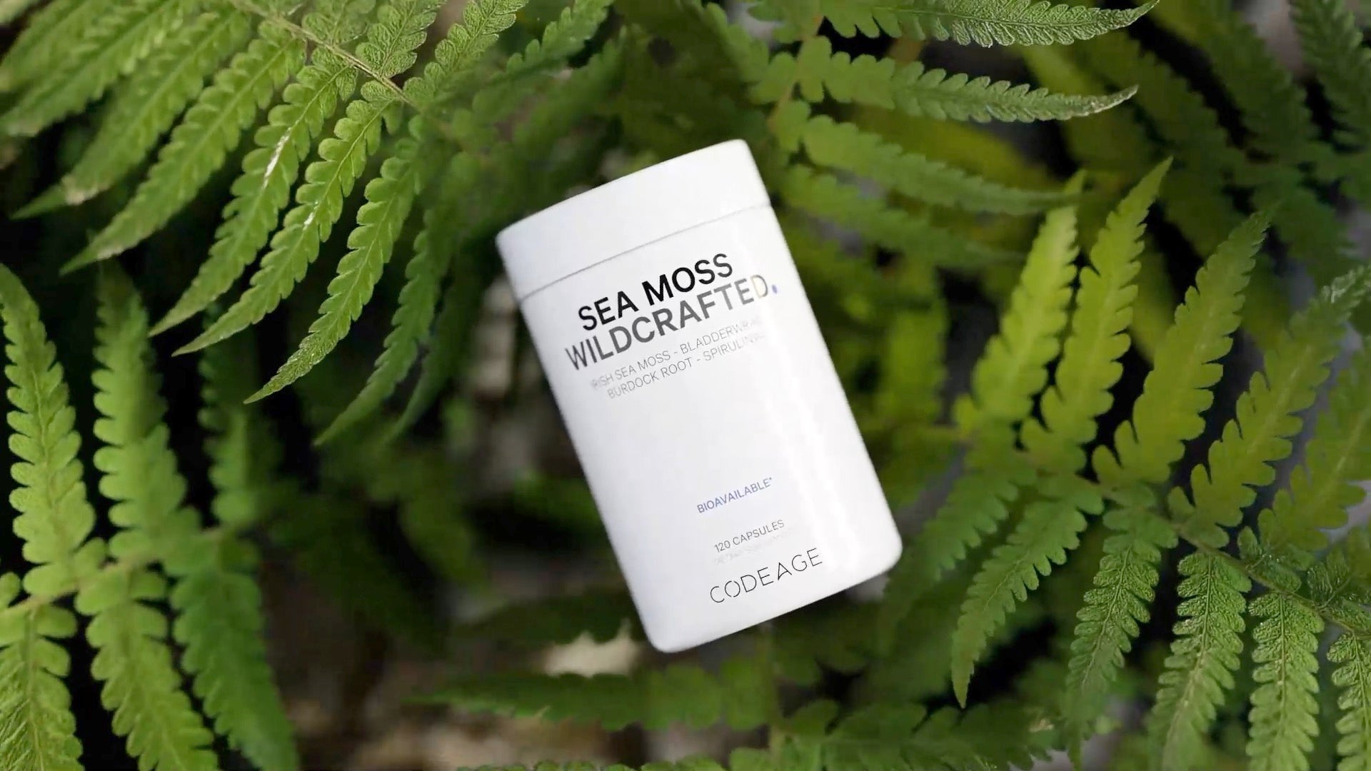 Raw Wildcrafted Sea Moss, Bladderwrack, Burdock, and Spirulina | Codeage