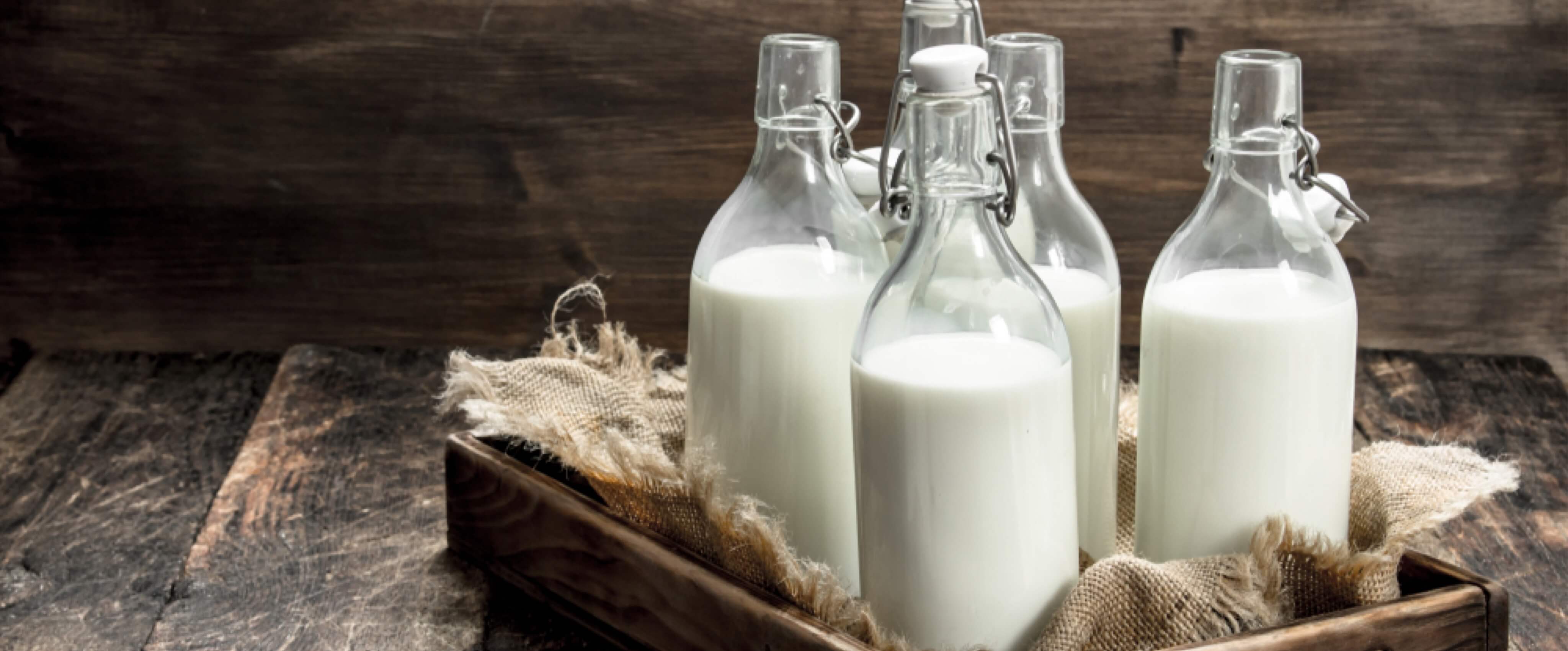 Colostrum: Exploring the Benefits and Sources of First Milk | Codeage
