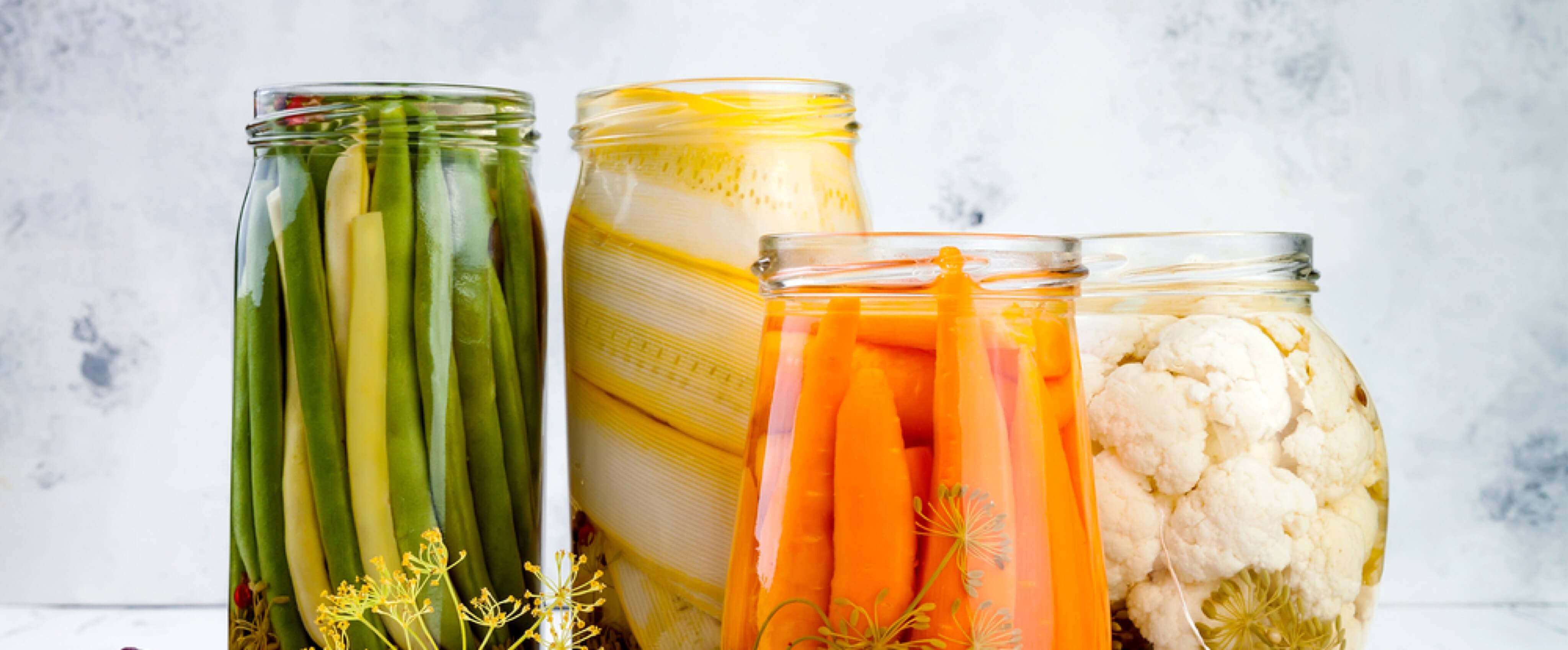 Enzymes and Probiotics: Understanding the Key Players in Digestion ...