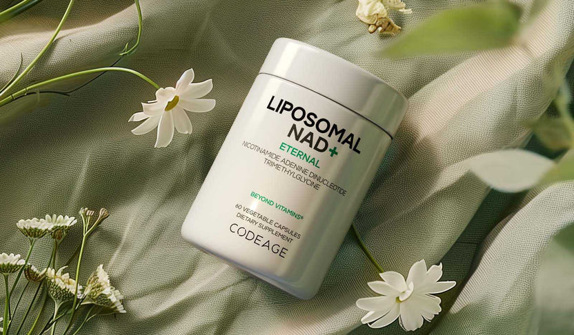 Explorando los diferentes tipos de zinc: una guía completa | Codeage