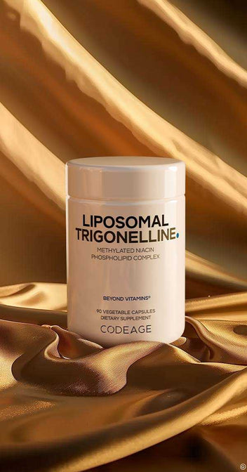 Exploring the Different Types of Zinc: A Comprehensive Guide | Codeage