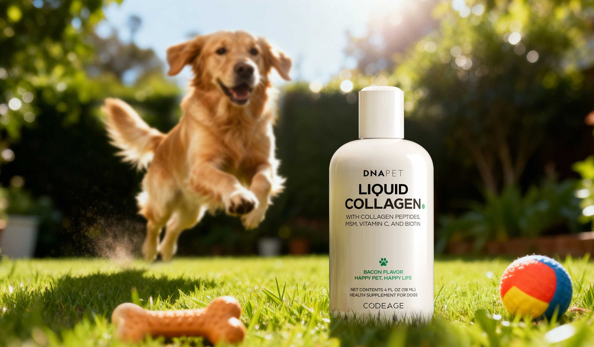 DNA Pet Liquid Collagen Supplement for Dogs, MSM & Vitamin C – Codeage